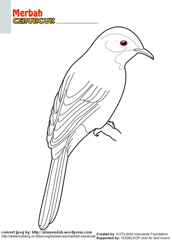 mewarnai-gambar-12-Merbah-cerukcuk | Alamendah's Blog