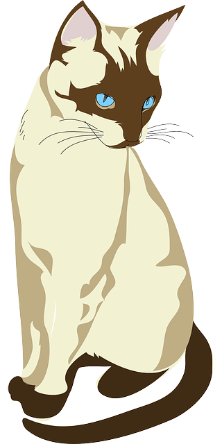 Kumpulan Gambar Vektor Kucing | Alamendah's Blog